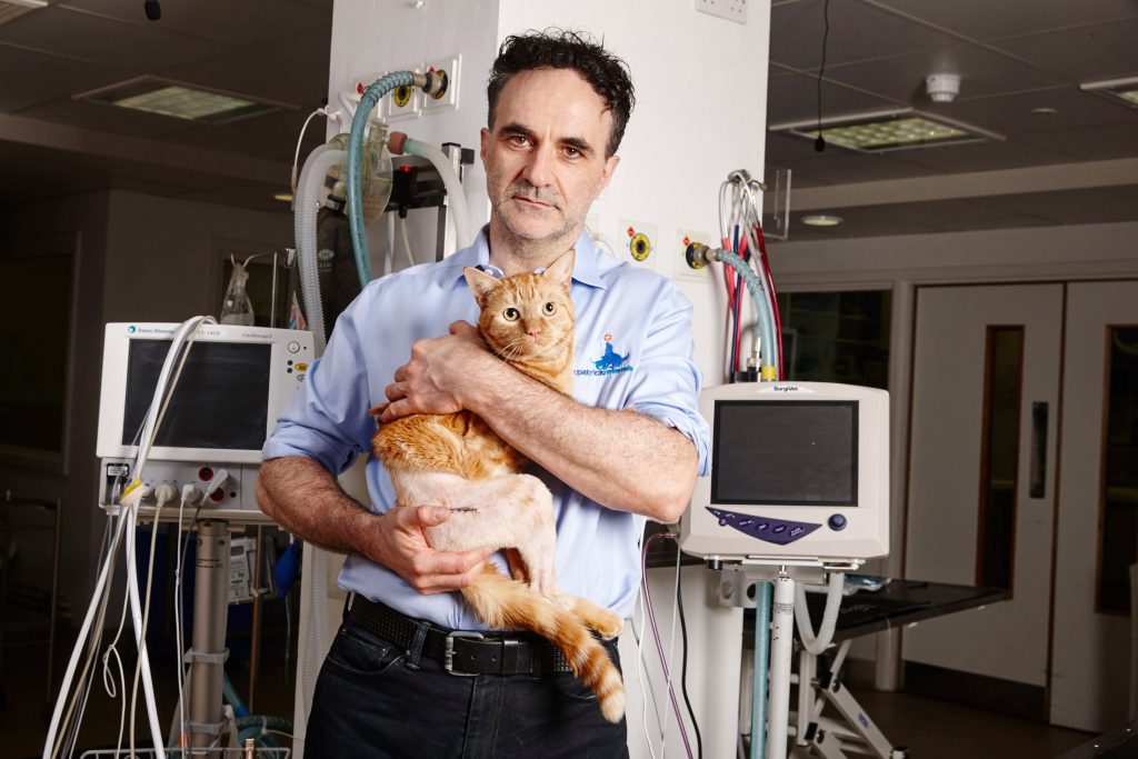 Elbows - Professor Noel Fitzpatrick